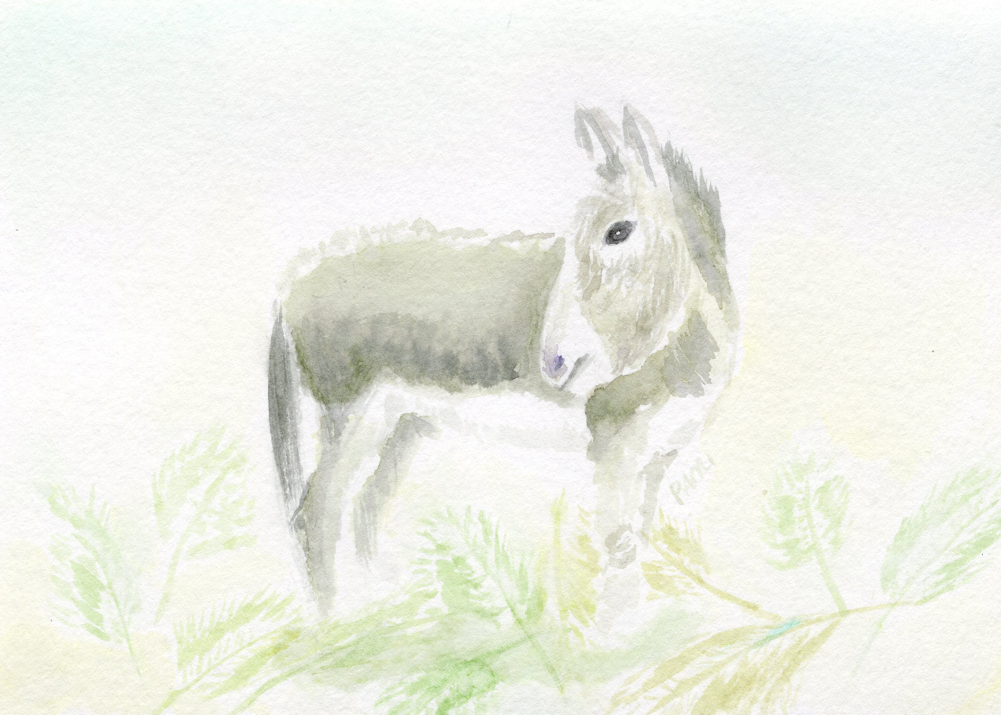 The Peaceful Colt – Don't Be Latte!